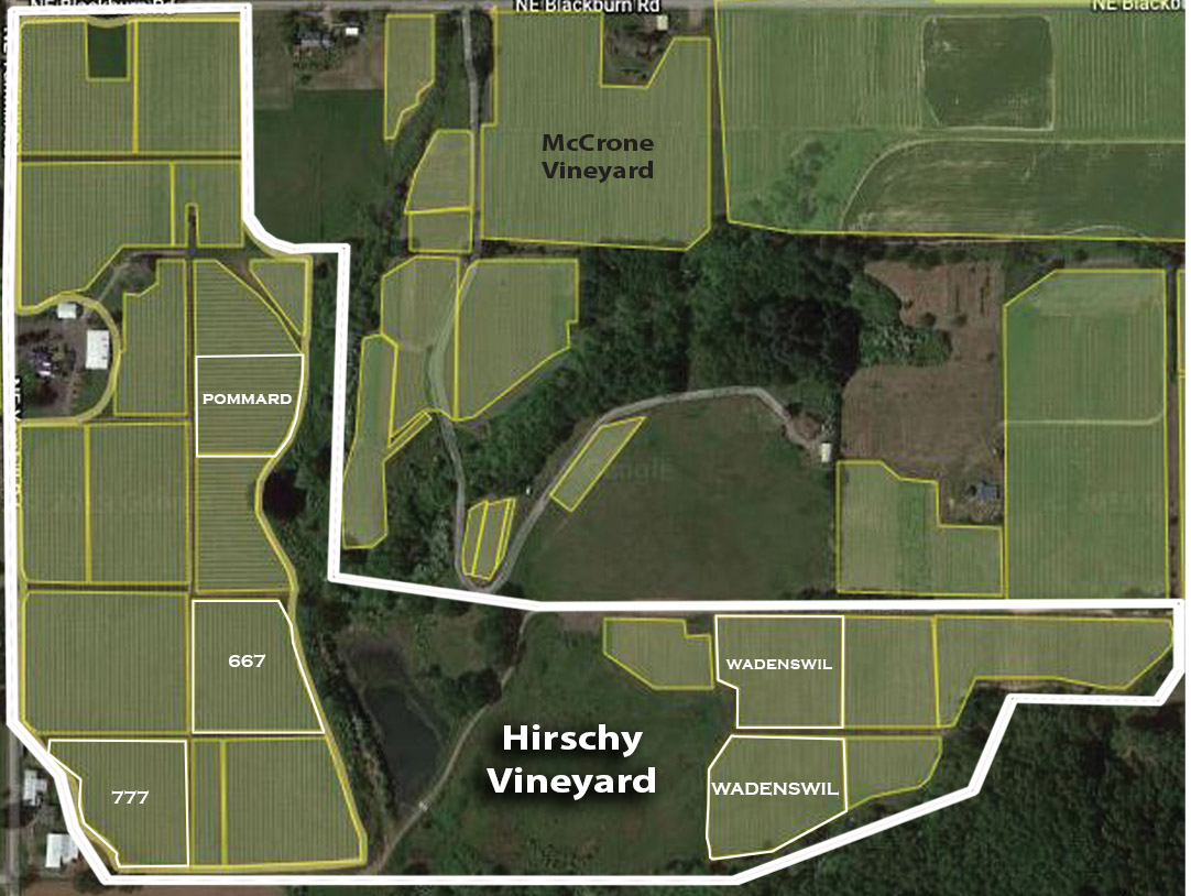 Hirschy Vineyard - Ken Wright Cellars